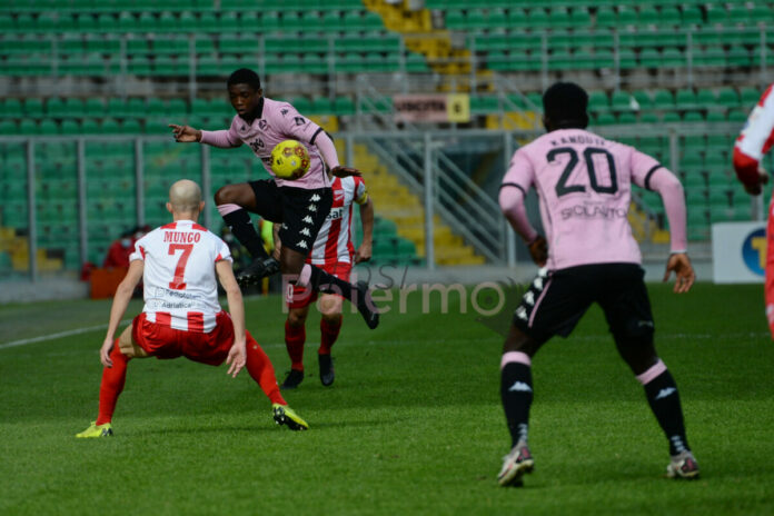 Palermo - Novità Broh e Gomes, muscoli e agonismo centrocampo