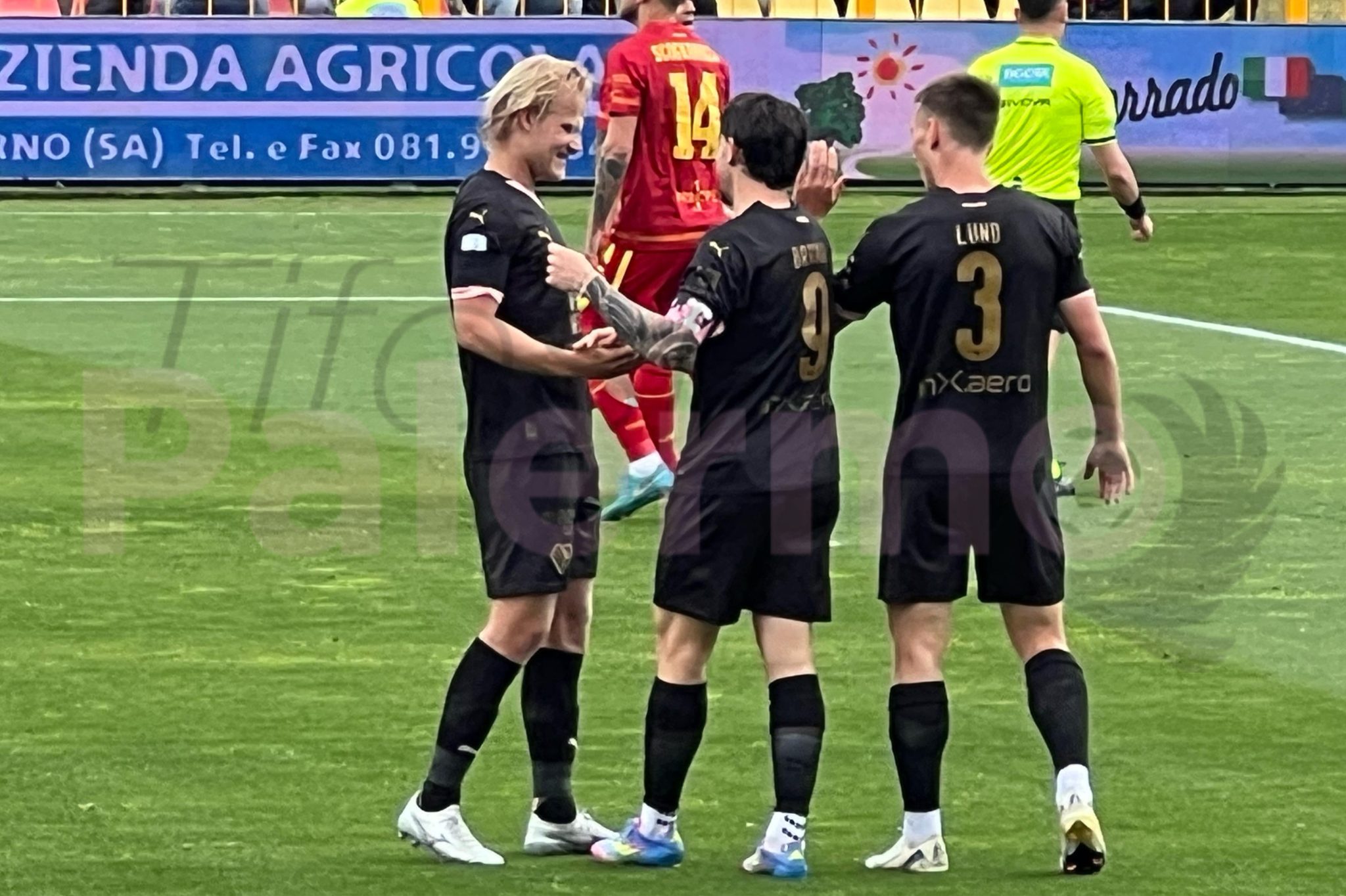 Palermo, rebus e certezze: i gol di Pohjanpalo e Brunori - TifosiPalermo
